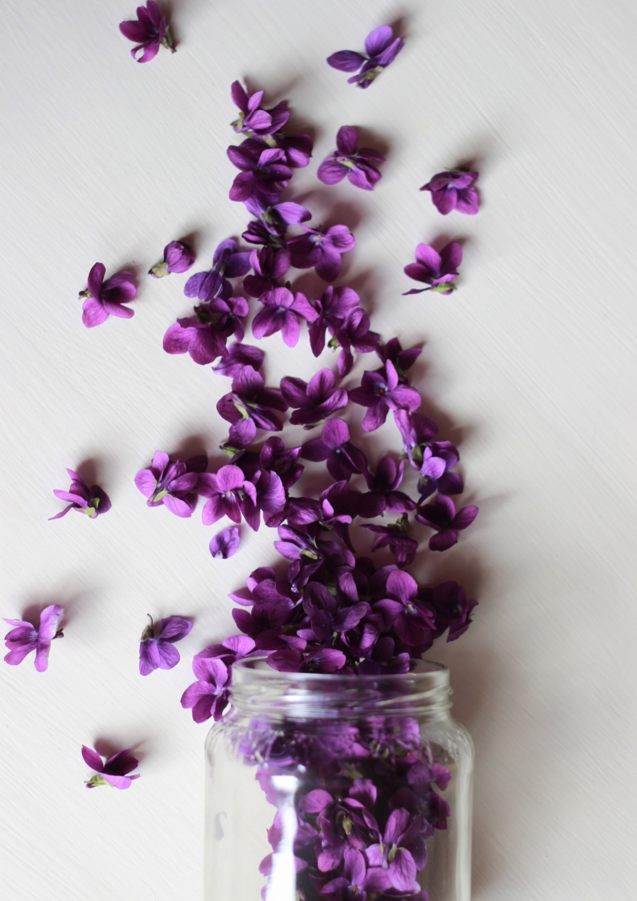 Prove di primavera. Risotto alle viole – Soul of Food
